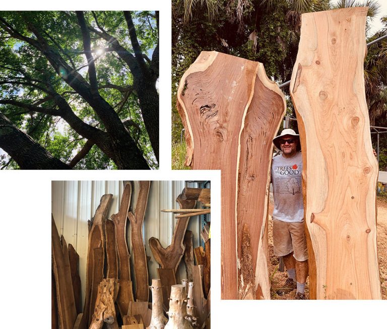 Naples Live Edge Wood | Naples, FL Live Edge Wood Slabs & Wood Decor